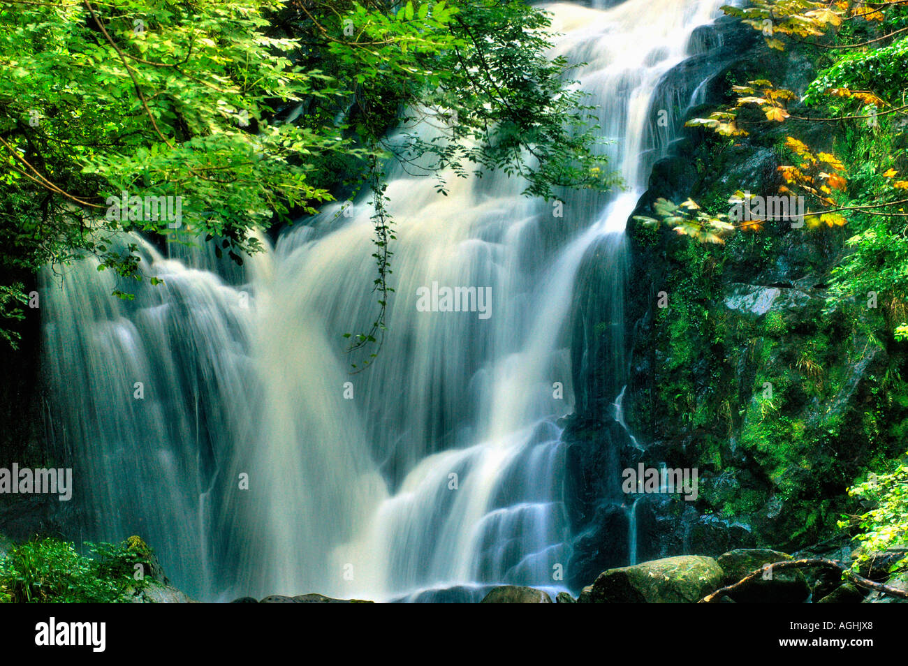 Torc Waterfall, Killarney National Park, Ireland Stock Photo - Alamy