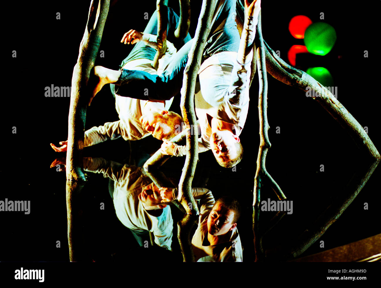 Hanging about Dance act in treetops as part of Arts Festival Stock ...