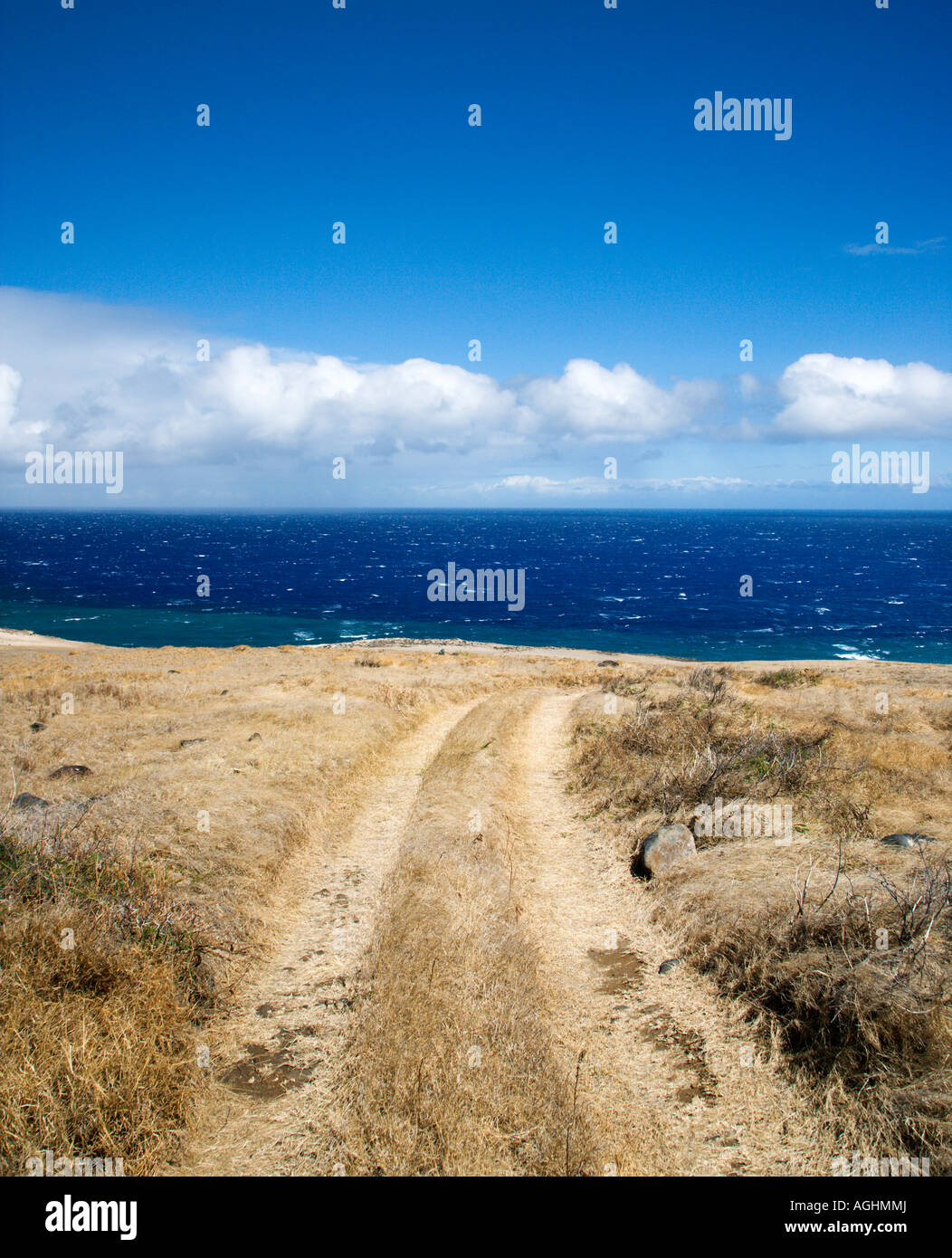 Dirt road leading to secluded beach in Maui Hawaii Stock Photo - Alamy