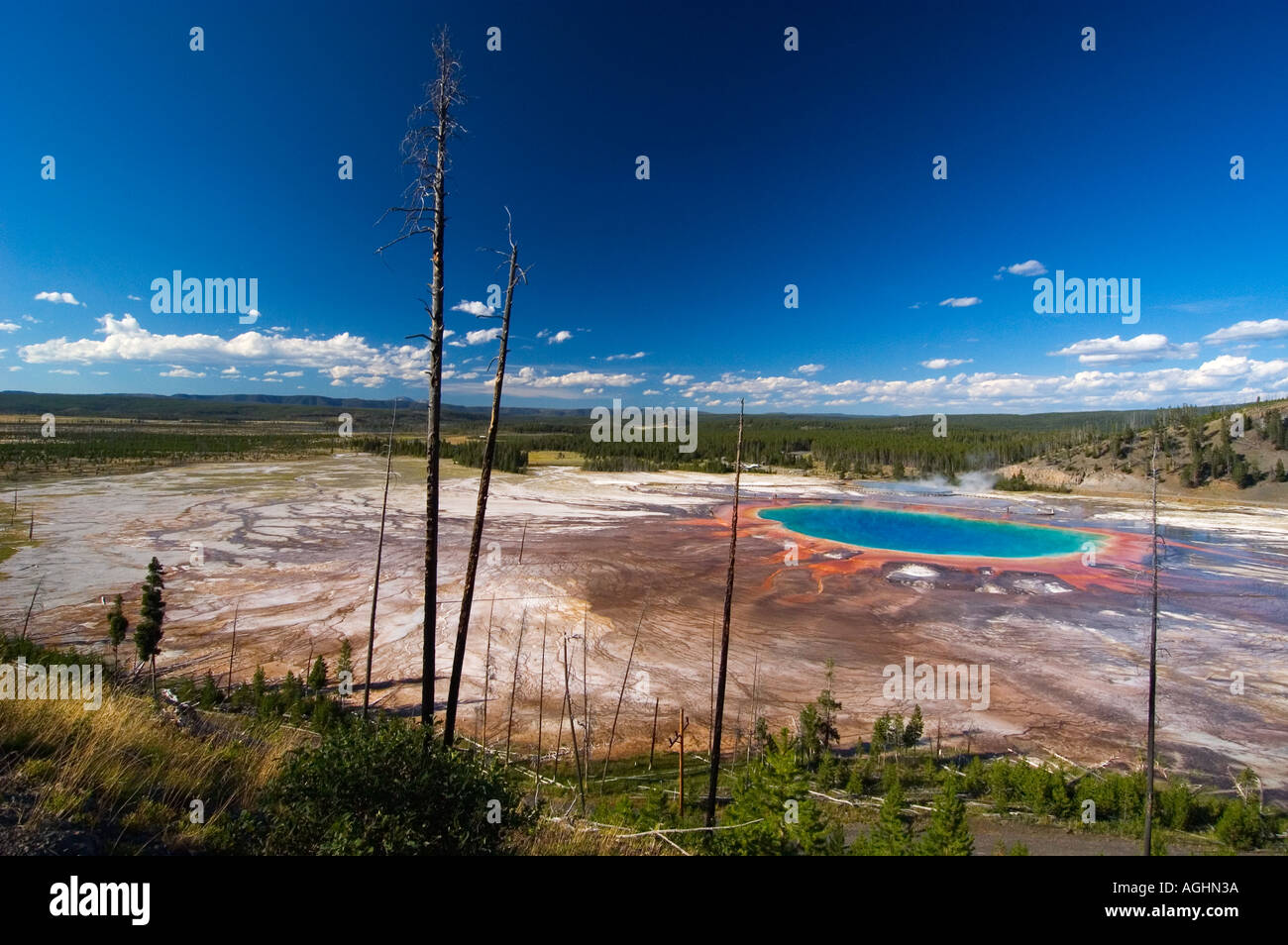 Grand Prismatic Pool Yellowstone National Park Wyoming USA Stock Photo ...
