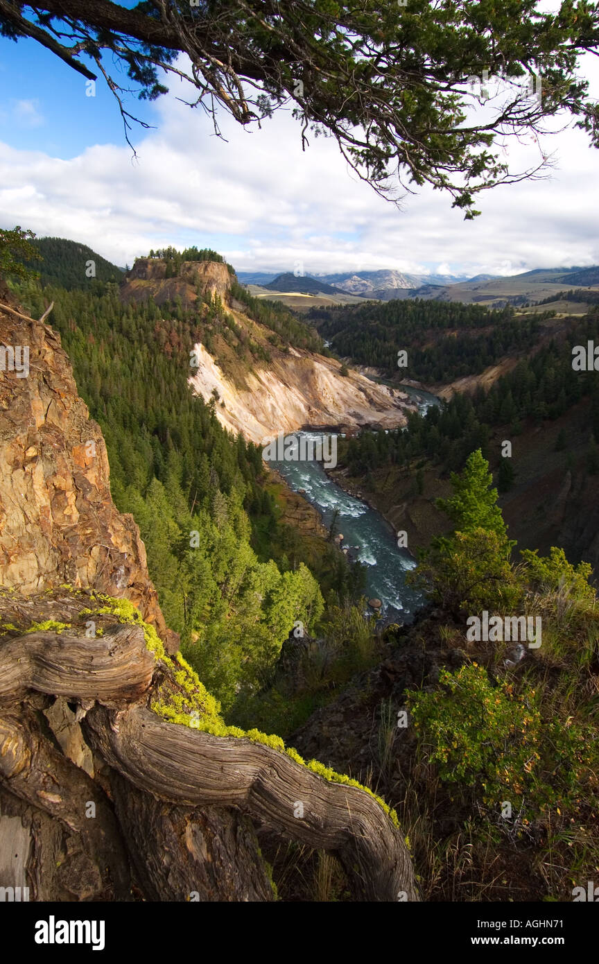 Tower falls yellowstone river hi-res stock photography and images - Alamy