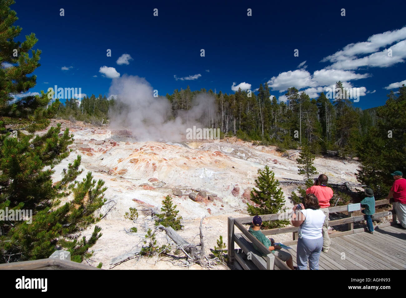 Geysers and hot springs of Norris Geyser Basin Yellowstone National ...