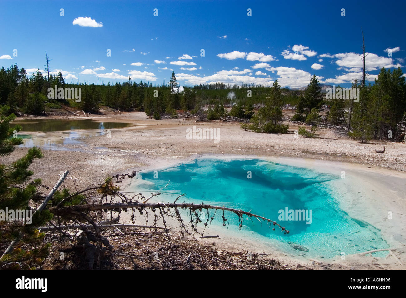 Geysers and hot springs of Norris Geyser Basin Yellowstone National ...