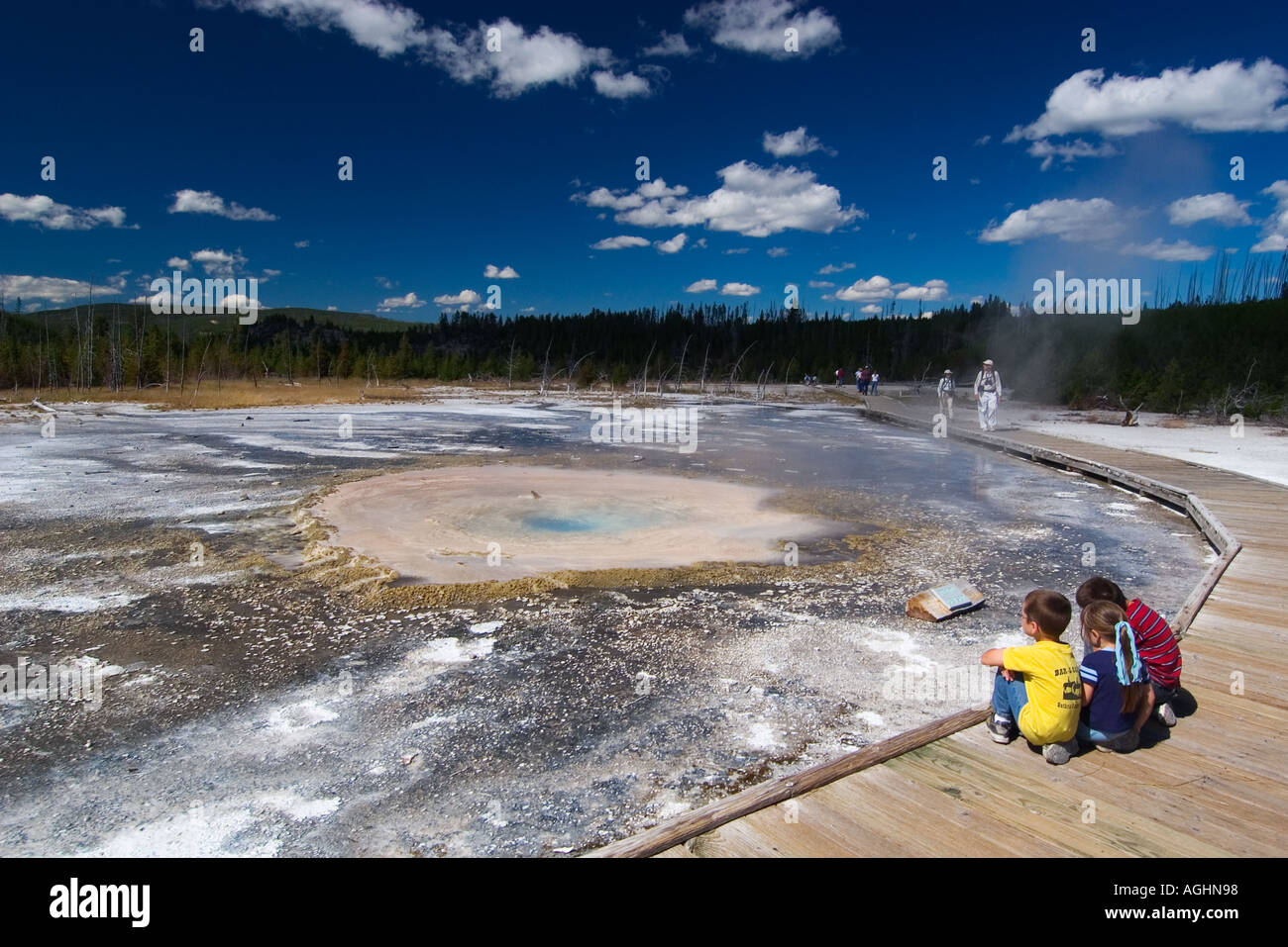 Geysers and hot springs of Norris Geyser Basin Yellowstone National ...