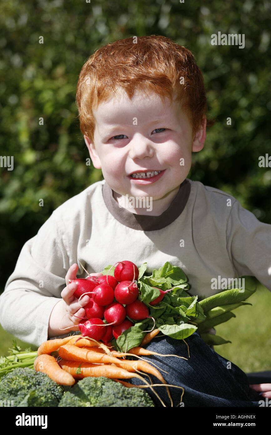 Boy collecting vegetables from the garden Stock Photo - Alamy