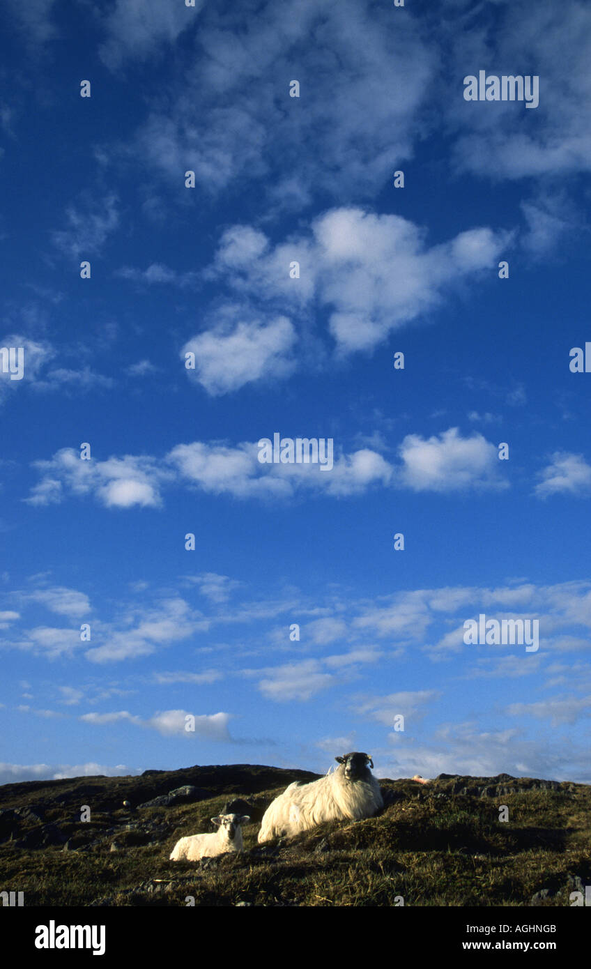 Irish life on west coast hi-res stock photography and images - Alamy