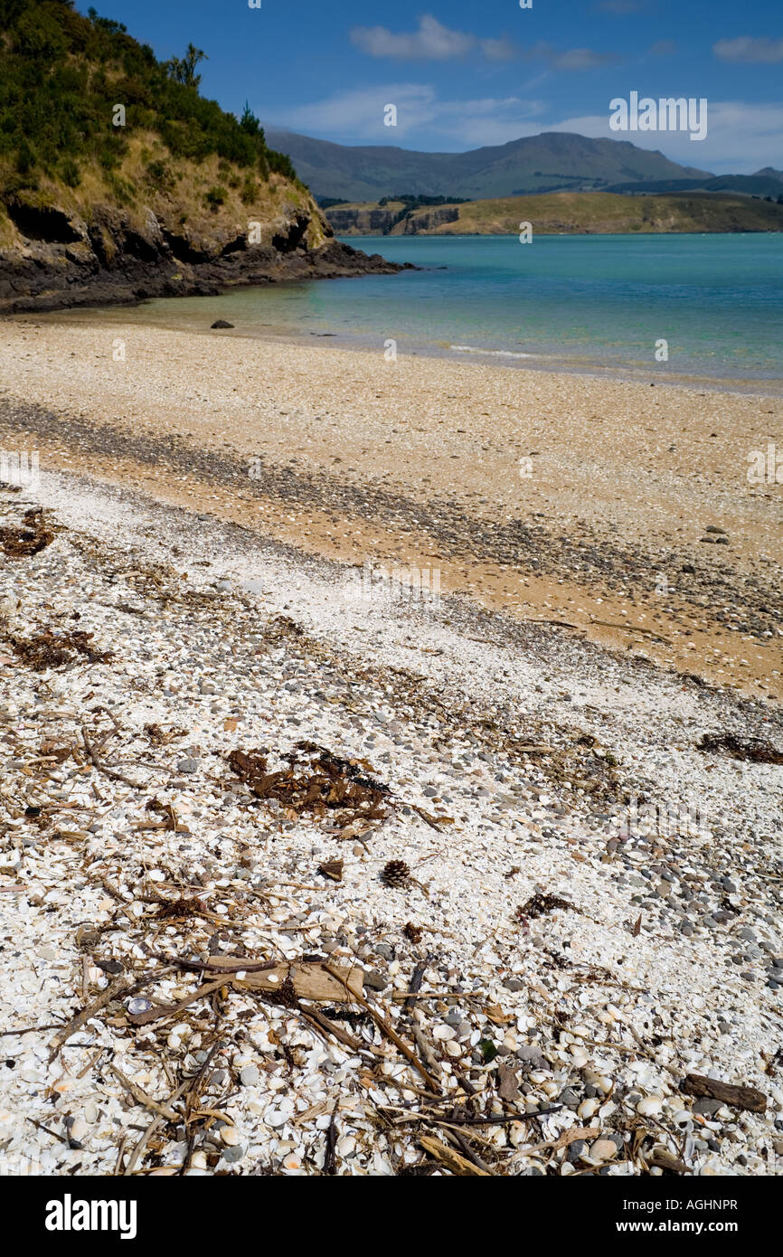 The beautiful shell beach at Rapaki Bay, Banks Peninsula, New Zealand ...
