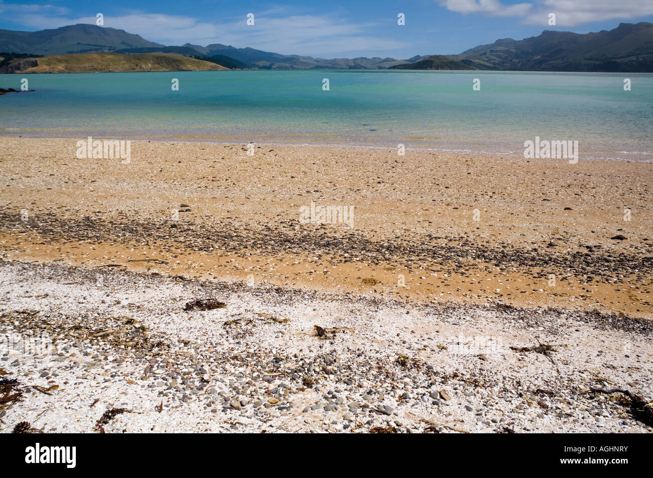 The beautiful shell beach at Rapaki Bay, Banks Peninsula, New Zealand ...