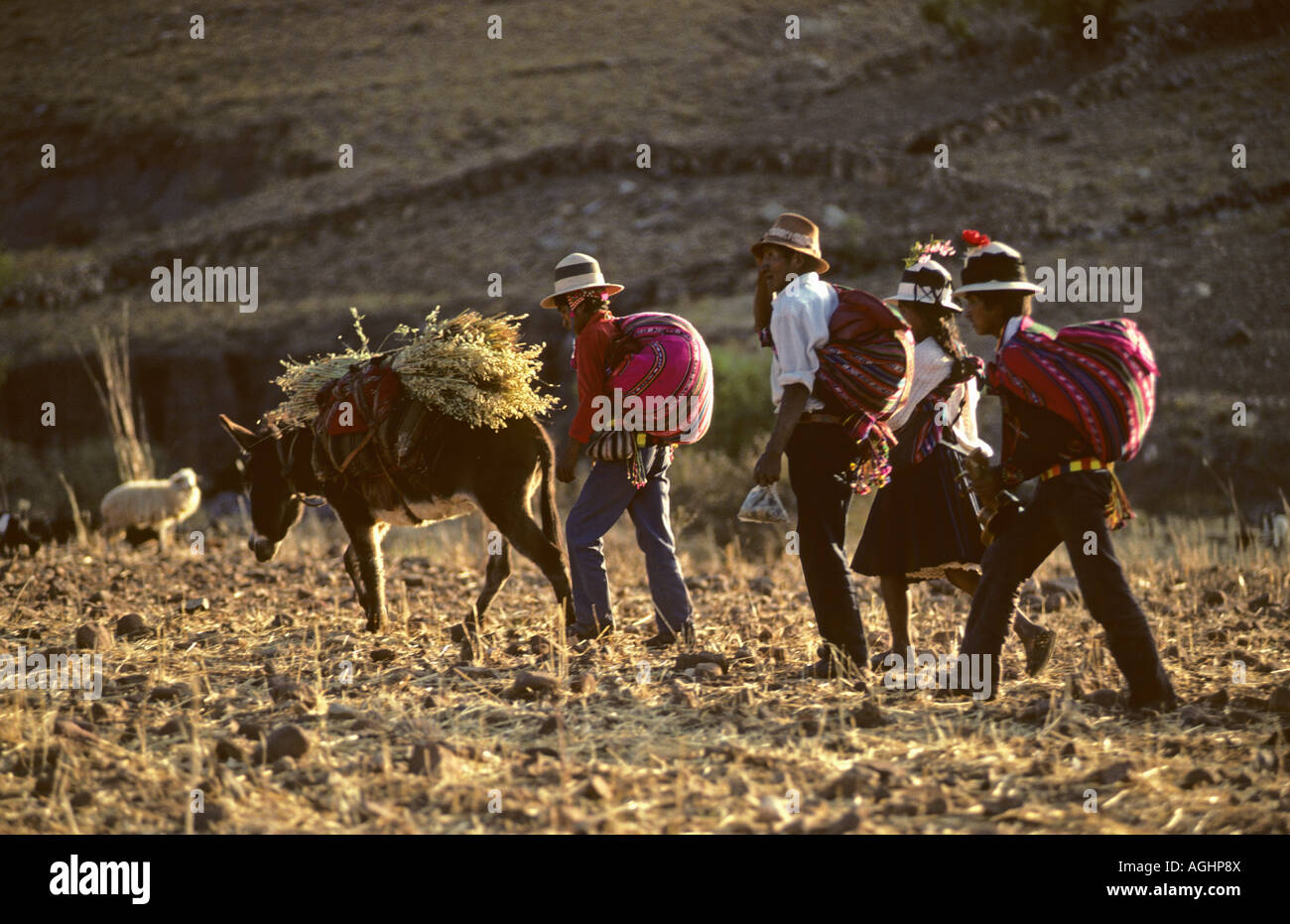 Bolivia, Toro Toro, People traveling with donkey Stock Photo - Alamy