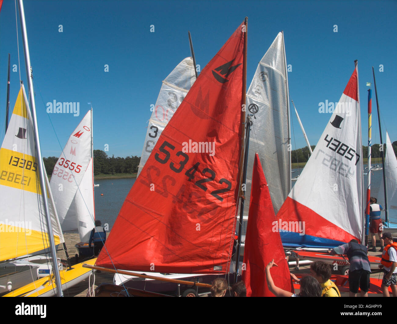Sails of Topper and Mirror class sailing dinghies at launch River Deben ...