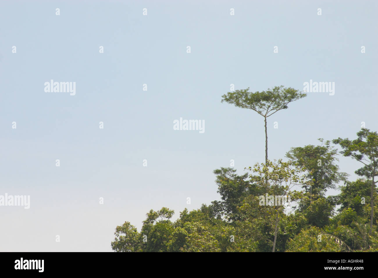 Greatness is not in where we stand hi-res stock photography and images ...