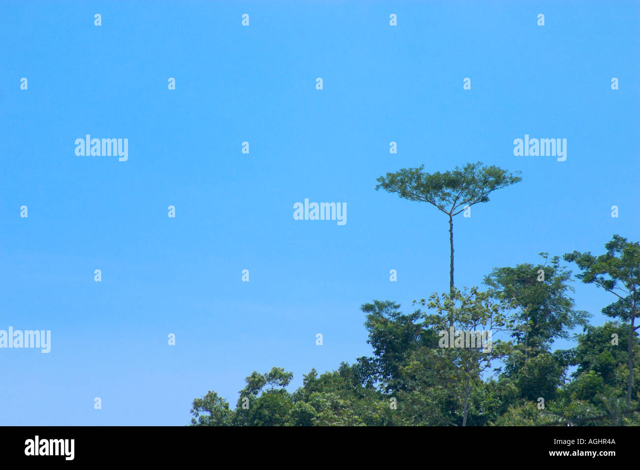 Greatness is not in where we stand hi-res stock photography and images ...