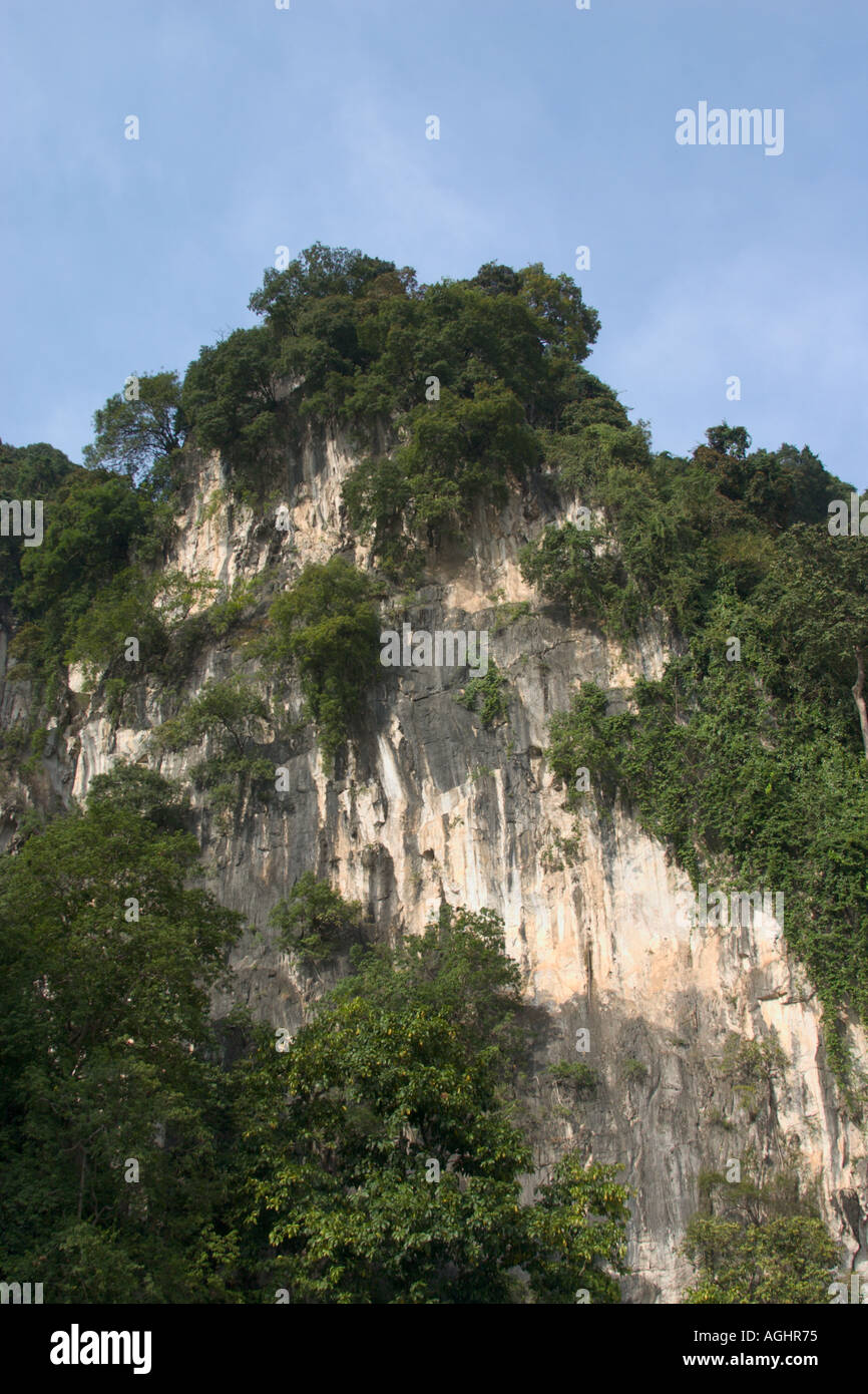 rock face of limestone hill in Malaysia Stock Photo - Alamy