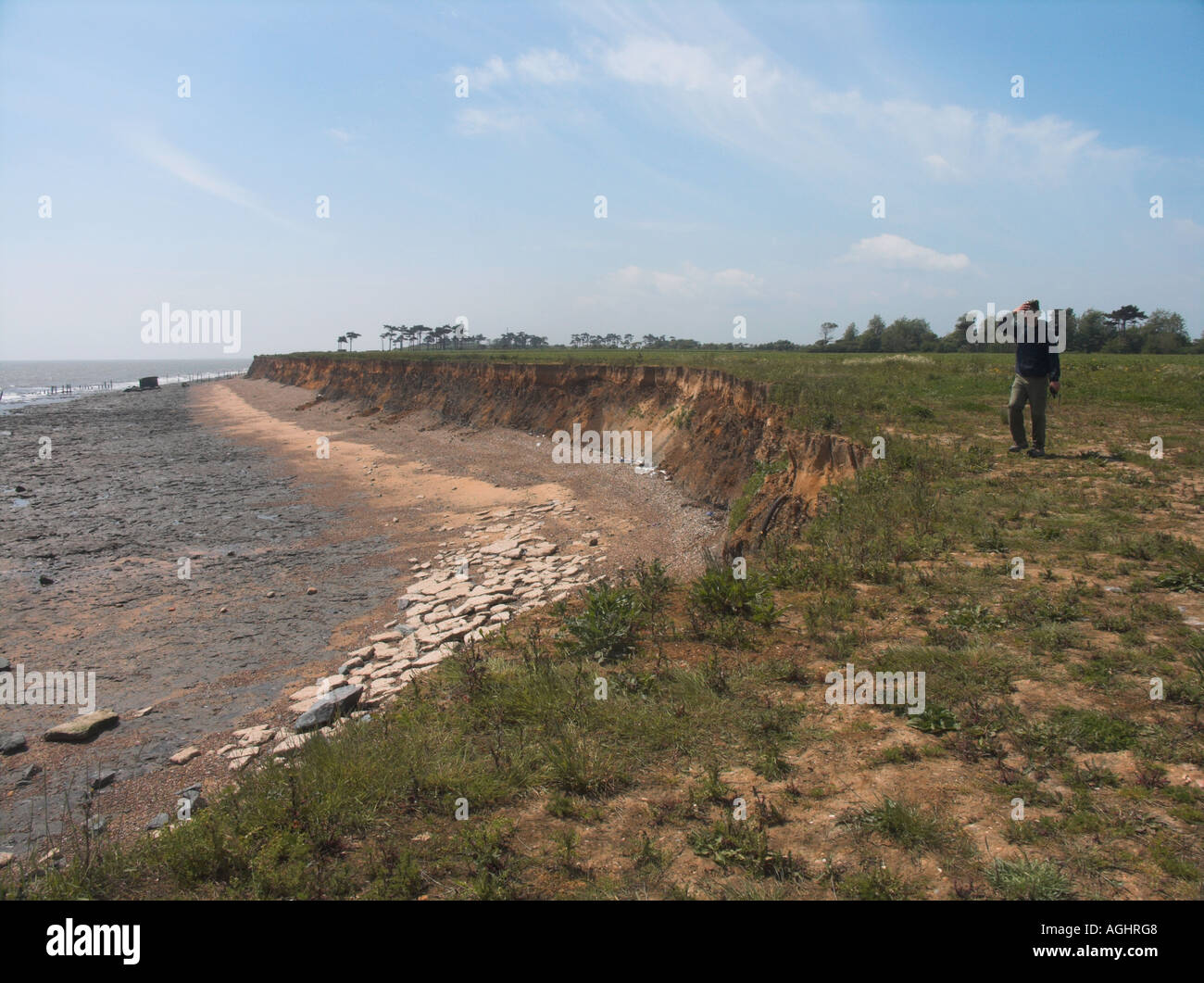 Crumbling cliffs showing rapid recession looking down from top into bay ...