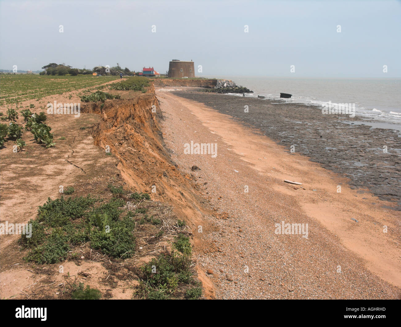 Pliocene sedimentary rocks hi-res stock photography and images - Alamy