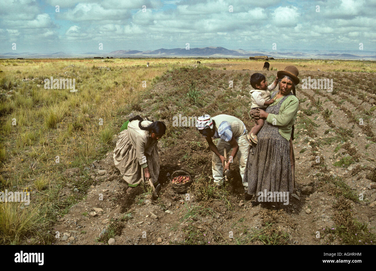 Bolivia children work hi-res stock photography and images - Alamy