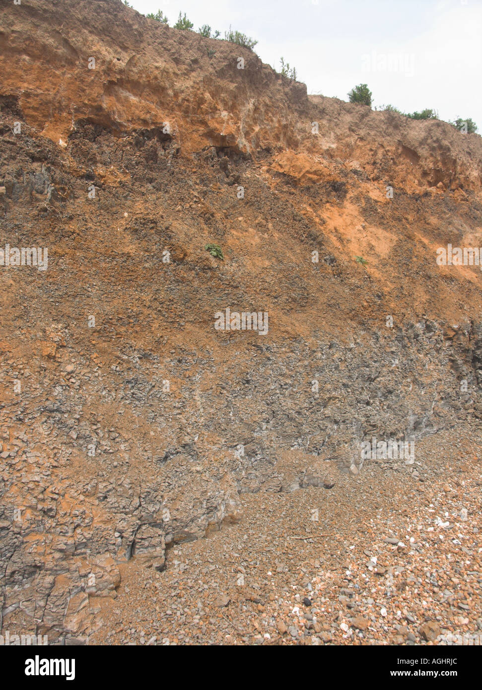 Cliff profile cross section detail showing strata Bawdsey, Suffolk ...