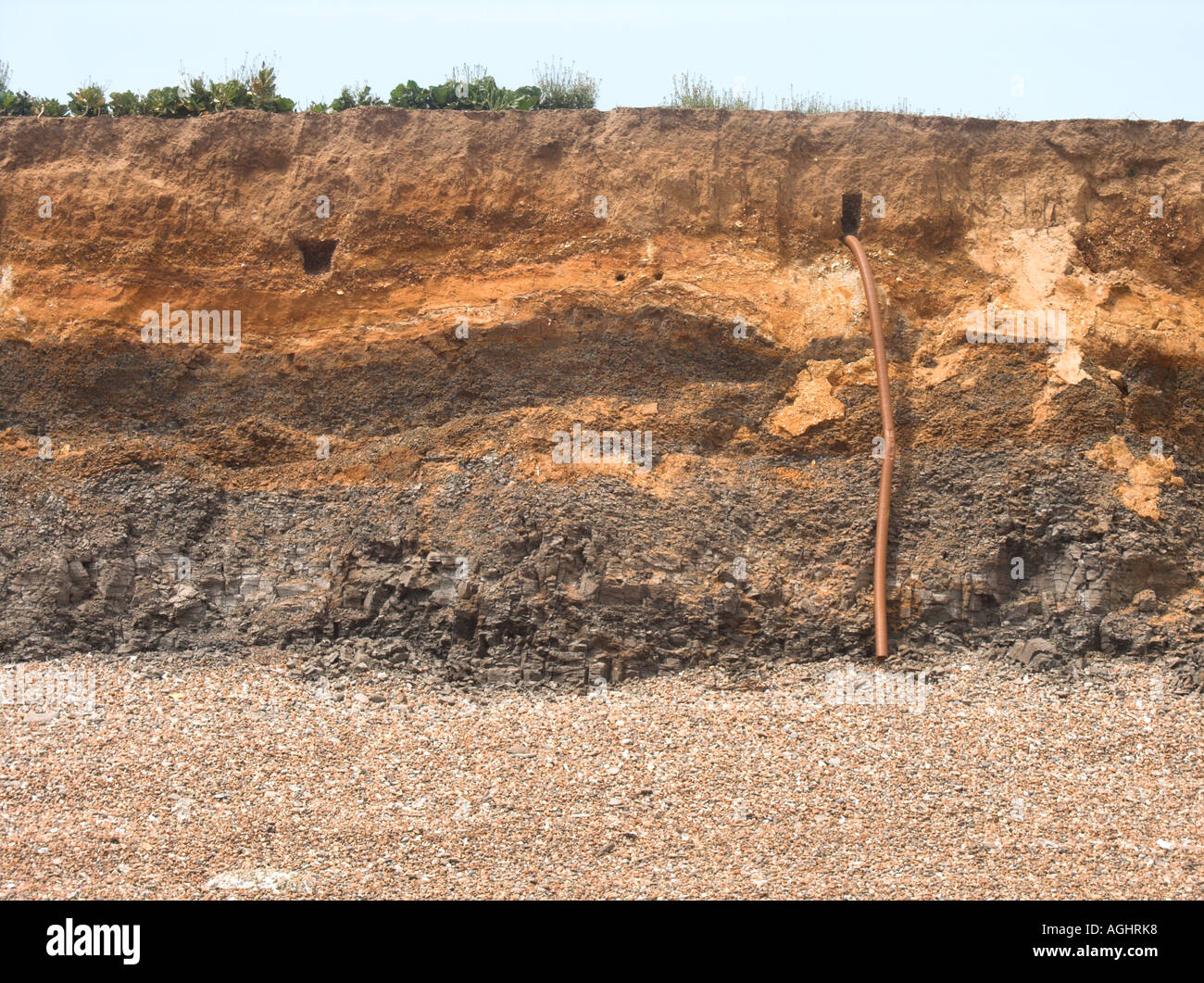 Cliff profile cross section Bawdsey, Suffolk Stock Photo - Alamy