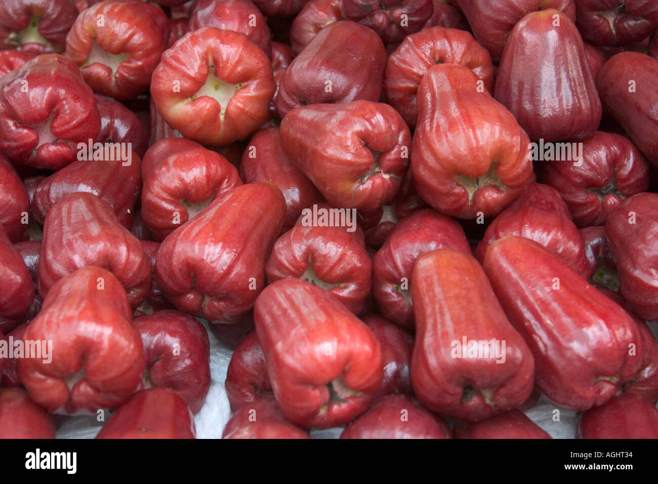 red watery rose apple syzygium aqueum Stock Photo - Alamy