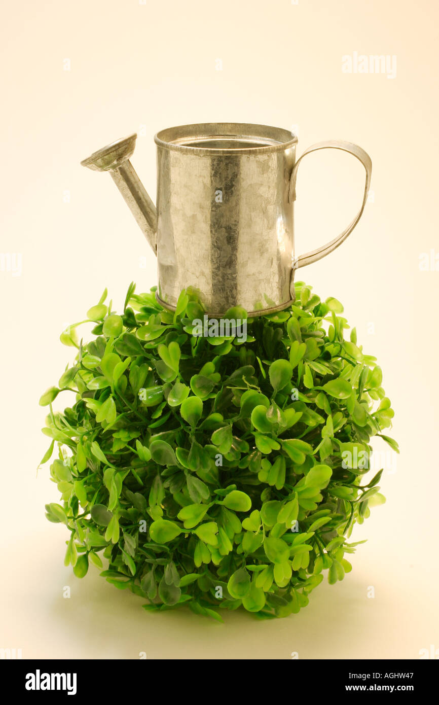 Plant spout hi-res stock photography and images - Alamy