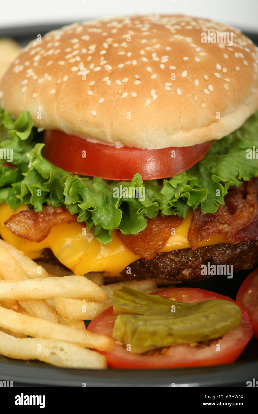 Hamburger with French Fries Beef burger on a plate American fast food ...