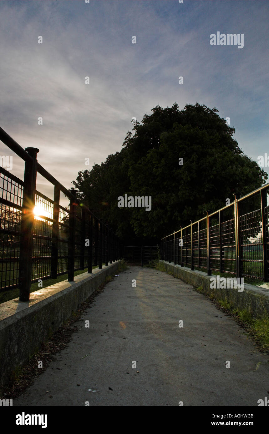 Moor pathway hi-res stock photography and images - Alamy