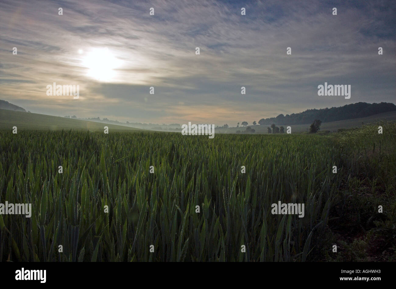 Frithsden hi-res stock photography and images - Alamy