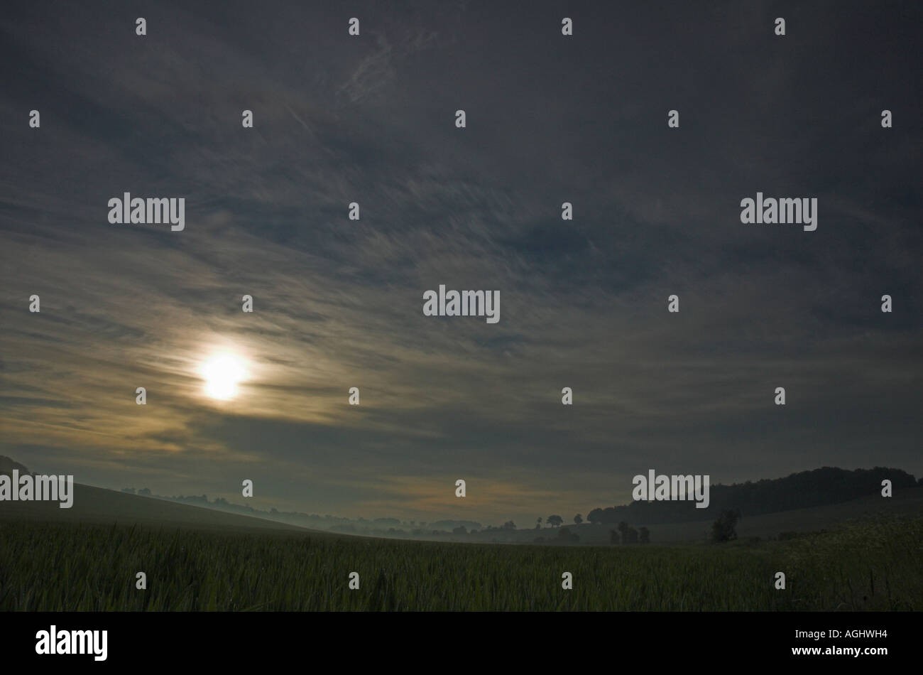 Farmland near Frithsden Stock Photo - Alamy