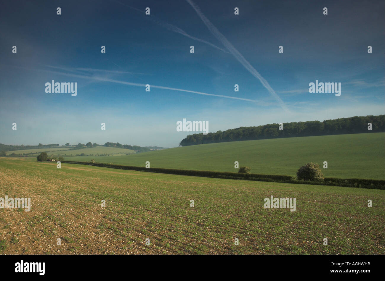 Frithsden hi-res stock photography and images - Alamy