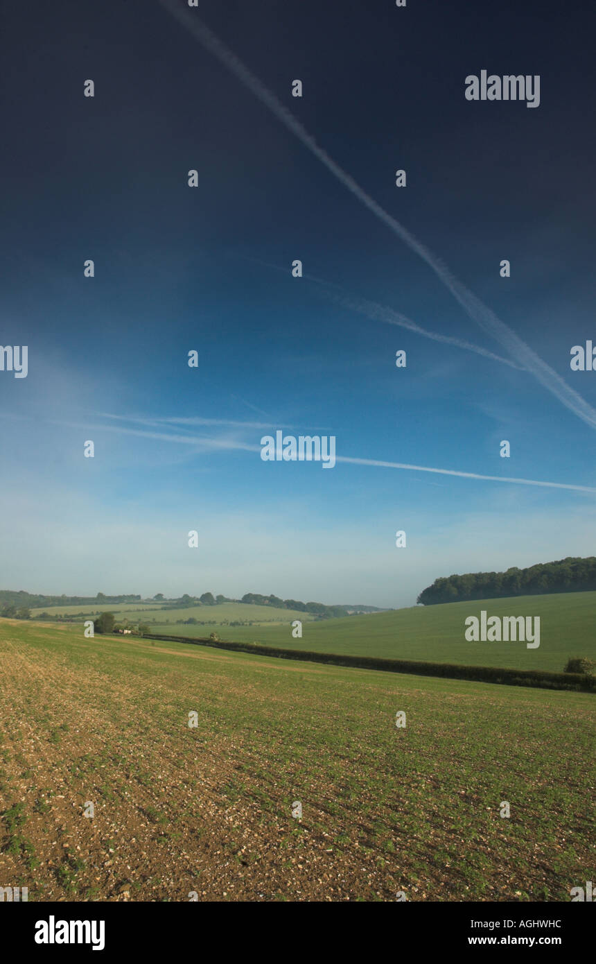 Farmland near Frithsden Stock Photo - Alamy