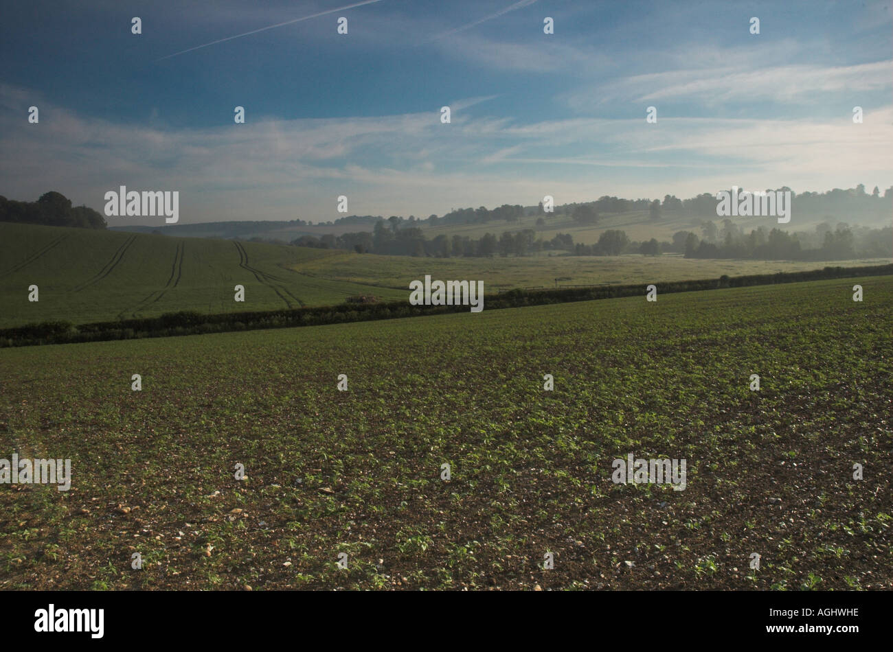 Farmland near Frithsden Stock Photo - Alamy