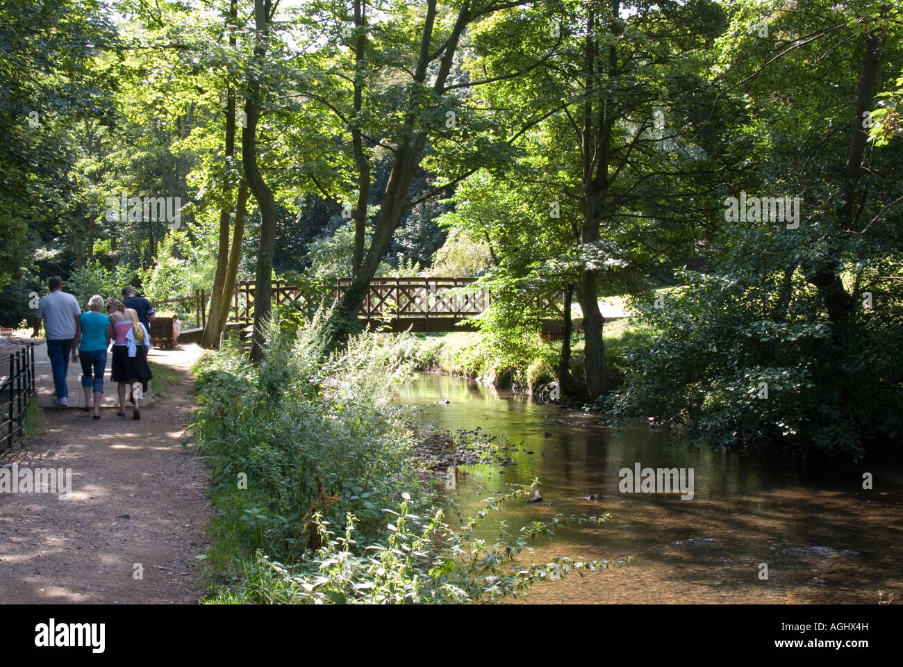 Wooded Stream and Bridge from Saltburns Italian style Victorian Gardens ...