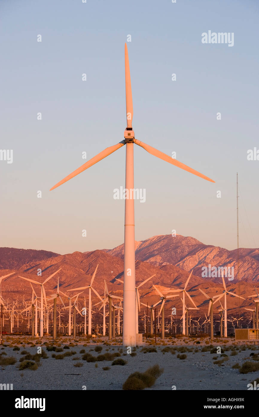 A wind farm in the San Gorgonio Mountain Pass in Palm Springs ...