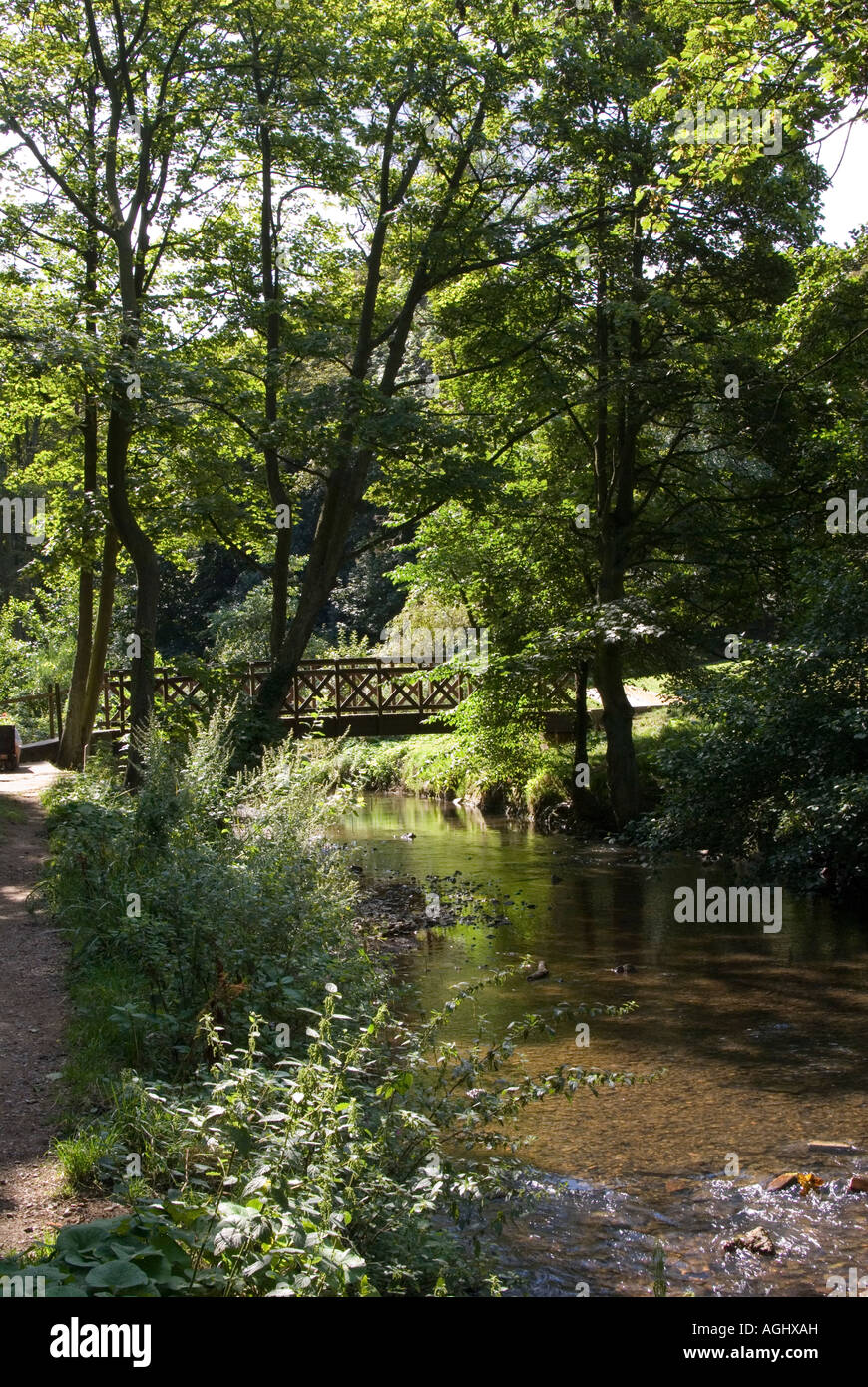 Wooded Stream and Bridge from Saltburns Italian style Victorian Gardens ...