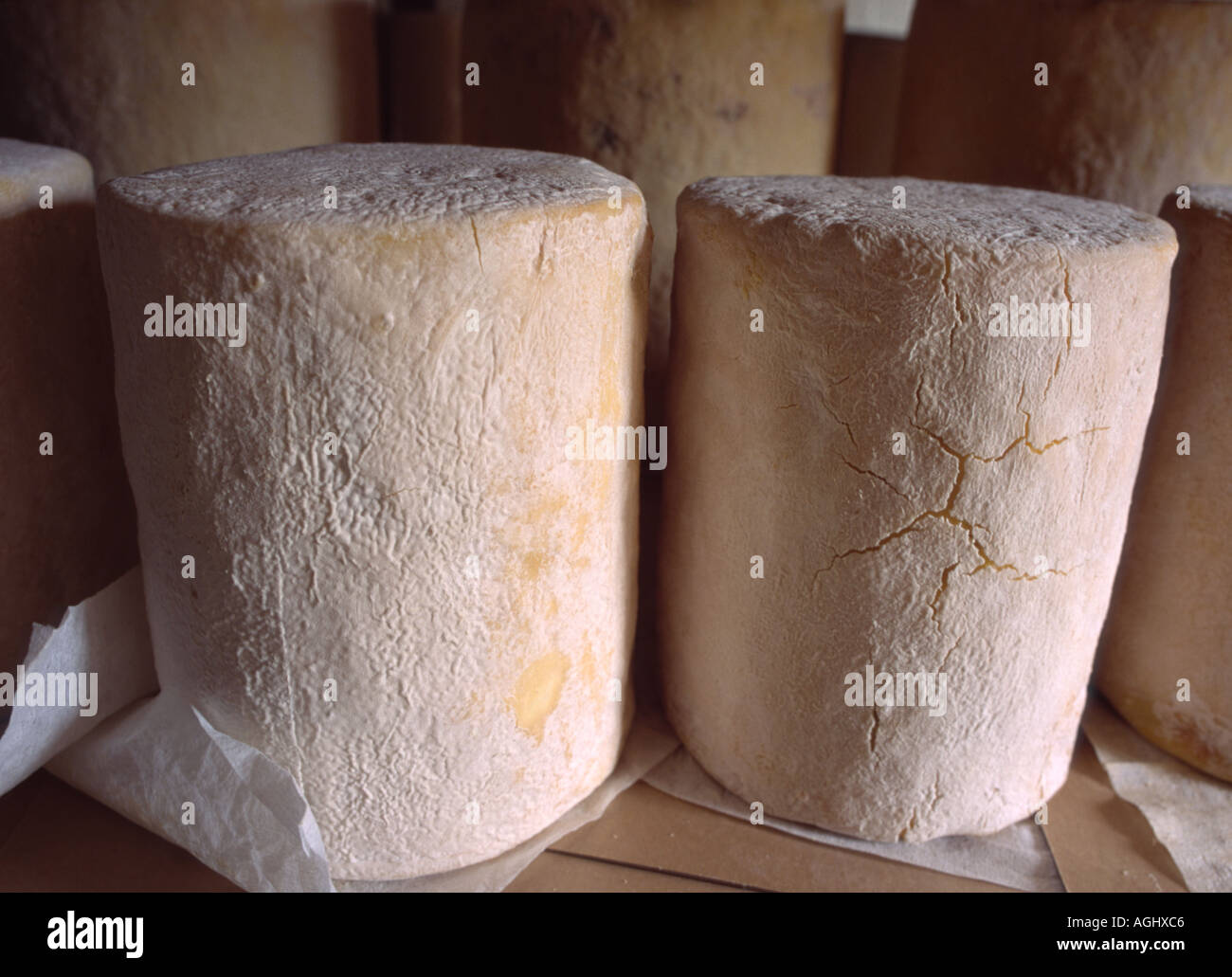 maturing and ripening blue stilton cheese stored in factory Stock Photo ...
