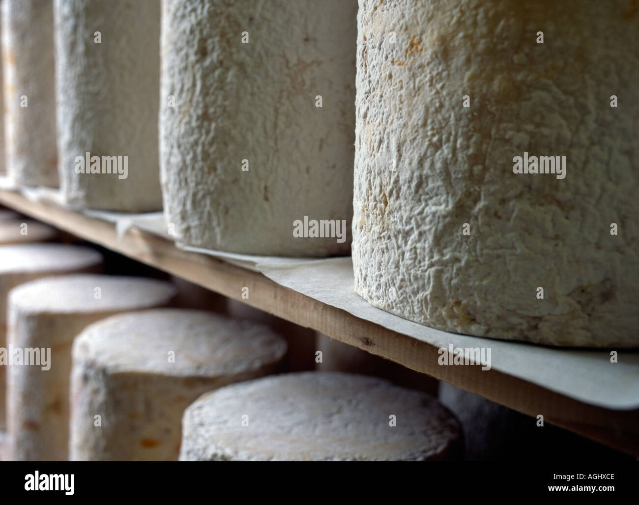For cheese ripening hi-res stock photography and images - Alamy