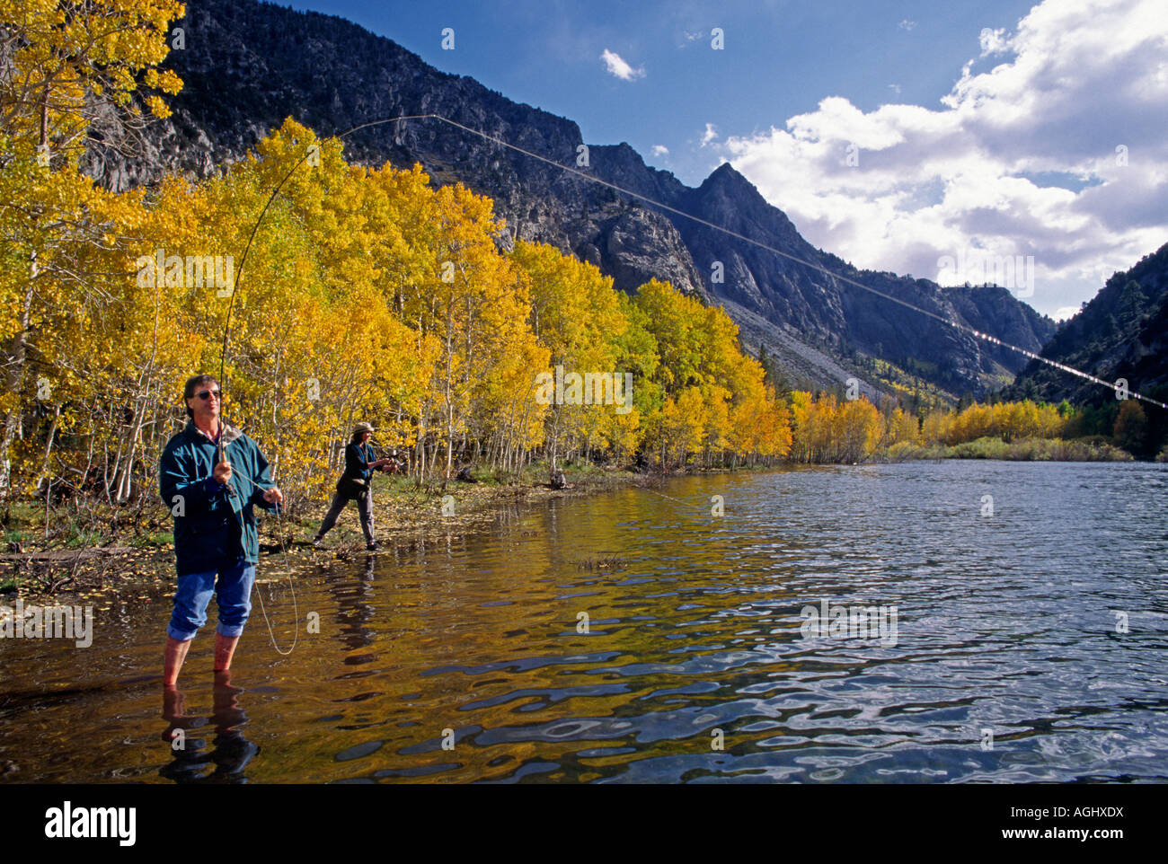 Lisa fish hi-res stock photography and images - Alamy