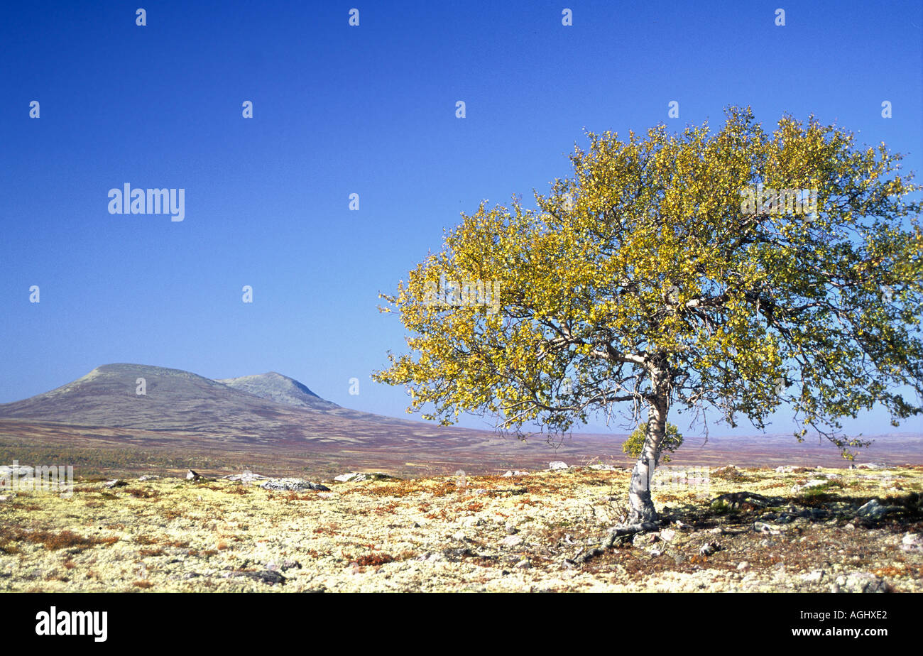 Norway zoom hi-res stock photography and images - Alamy