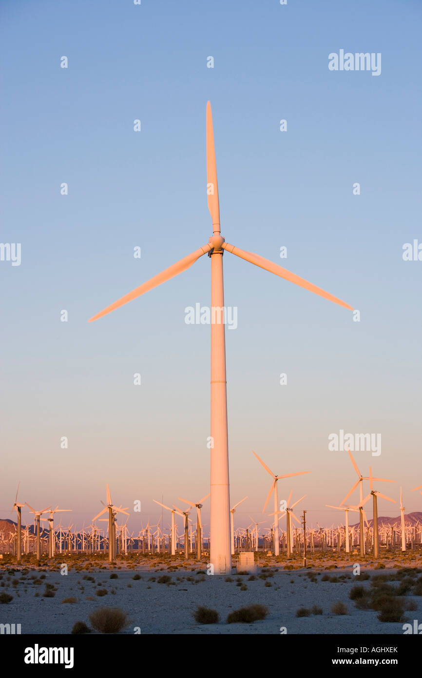 A wind farm in the San Gorgonio Mountain Pass in Palm Springs ...