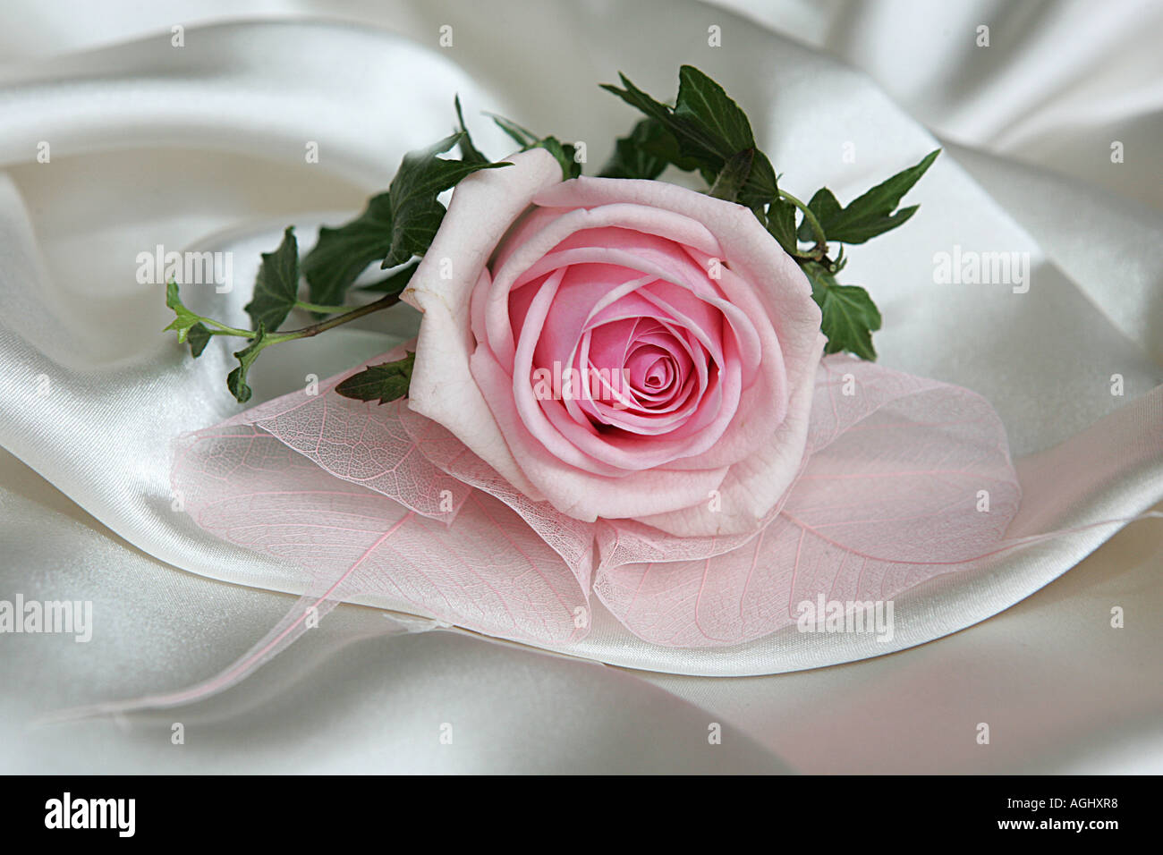 Horizontal buttonhole hi-res stock photography and images - Alamy