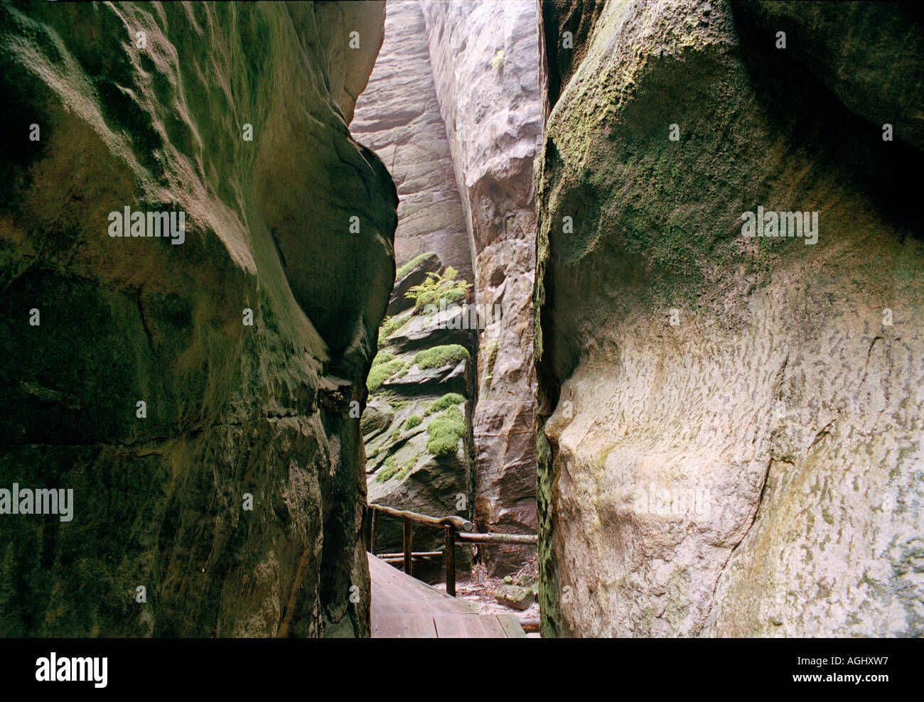 Path in the Treplice National Park, Czech Republic Stock Photo - Alamy