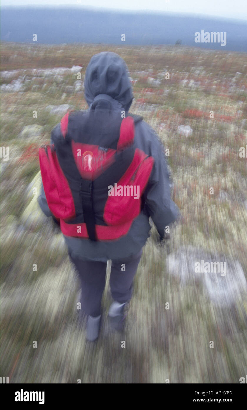 Mountain walker sweden hi-res stock photography and images - Alamy