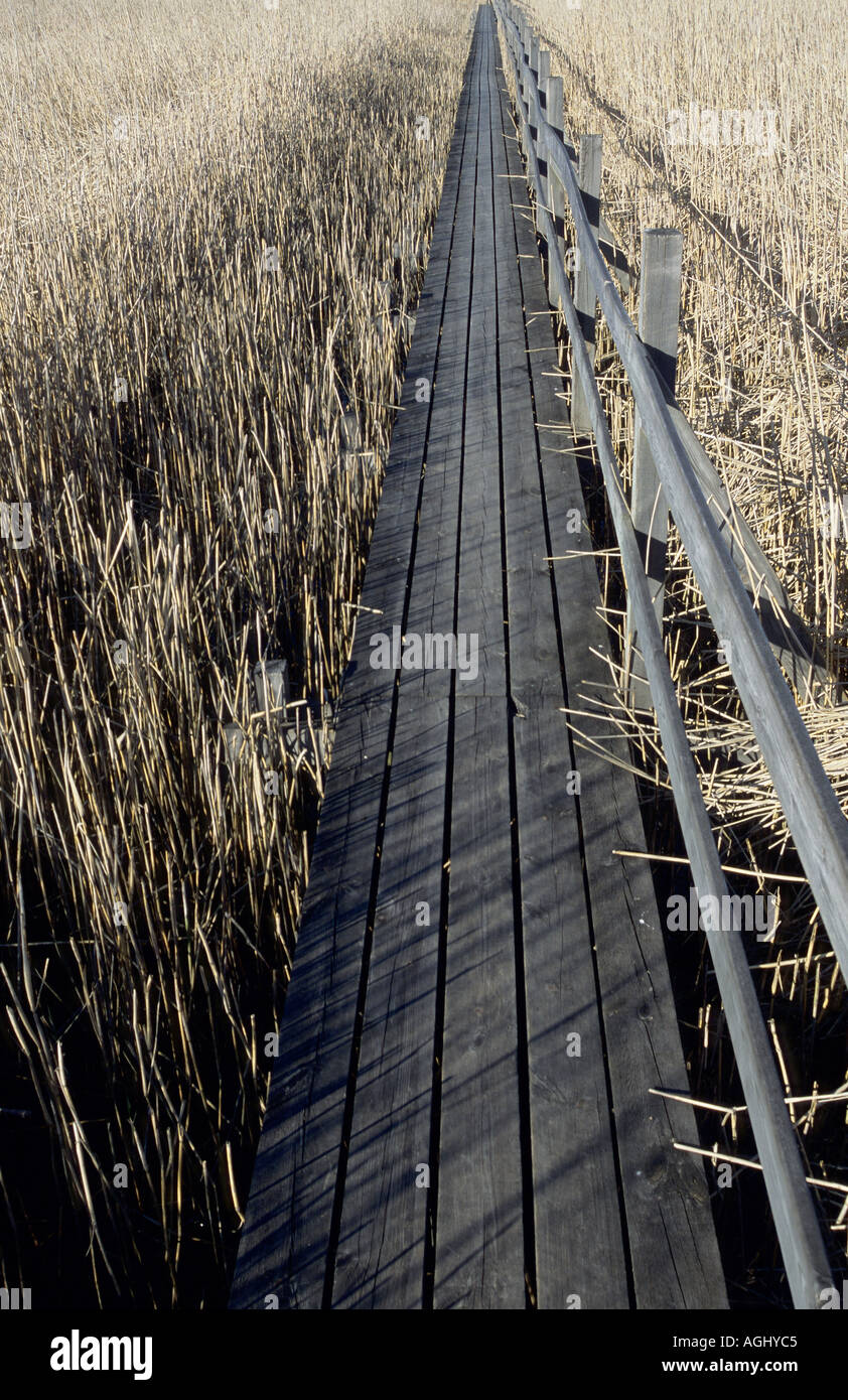 Boardwalk boards hi-res stock photography and images - Alamy