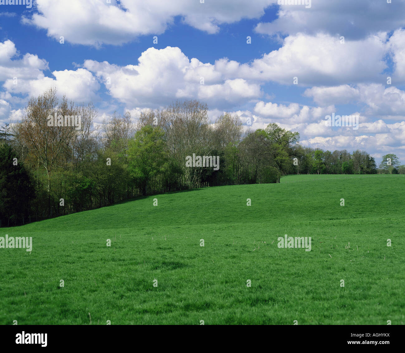 English spring time hi-res stock photography and images - Alamy