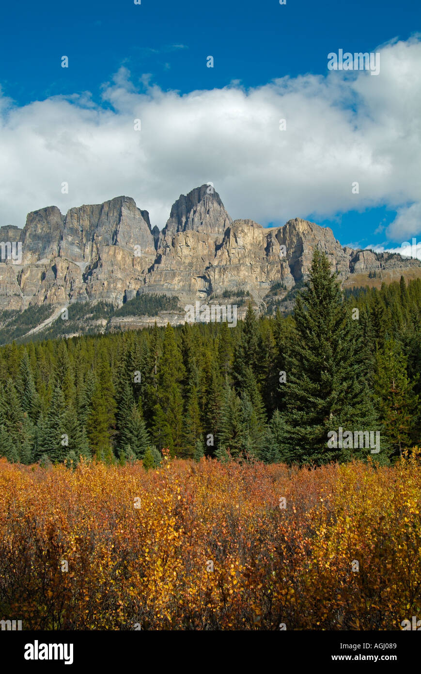 Monolithic Castle Mountain Banff national Park from the Bow Valley ...