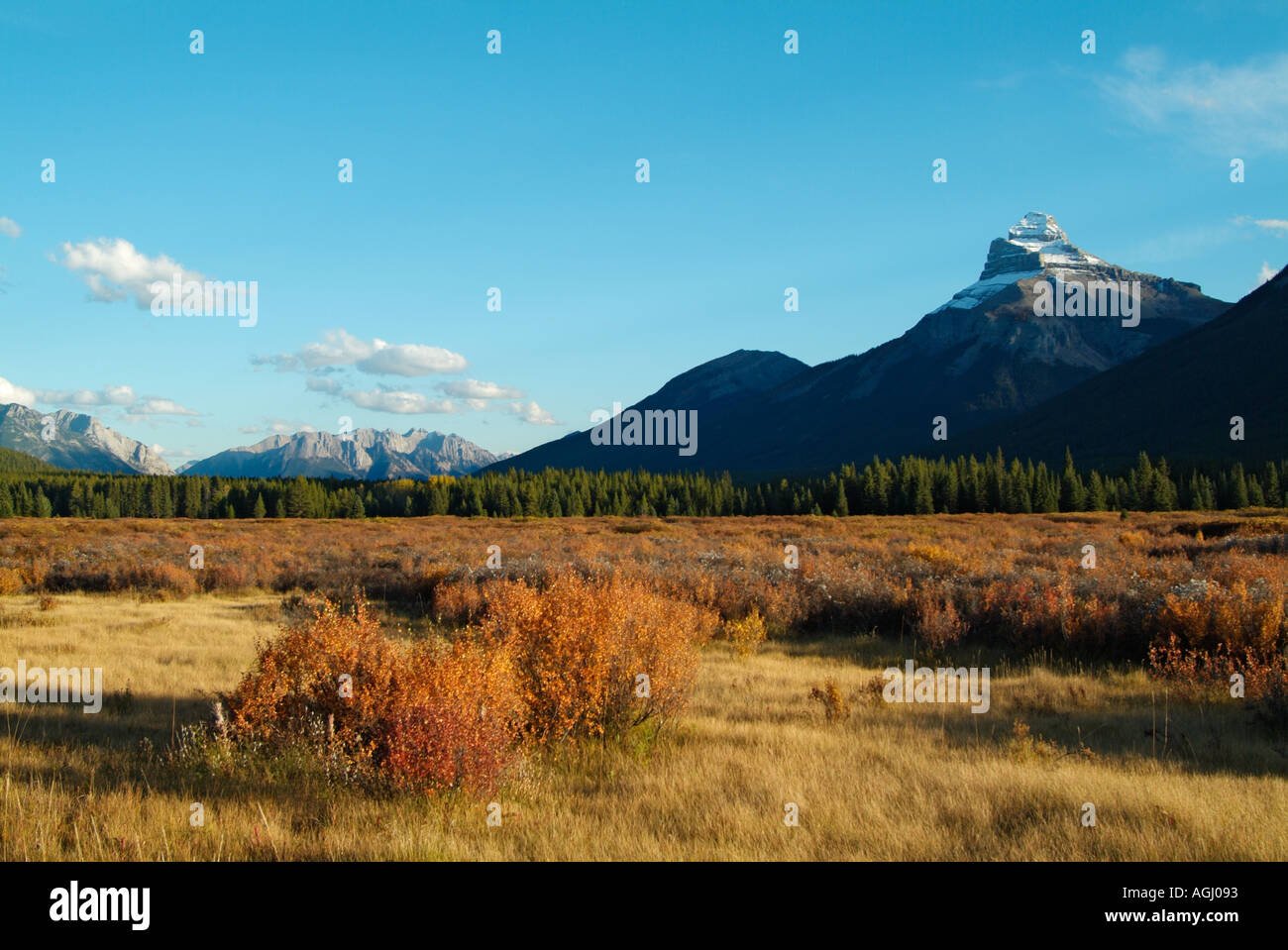 Moose Meadows from Bow Valley parkway Banff National Park Alberta ...