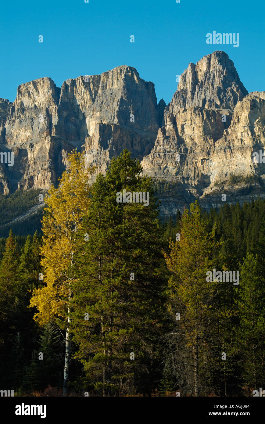 Monolithic Castle Mountain from Bow Valley Parkway Banff National Park ...