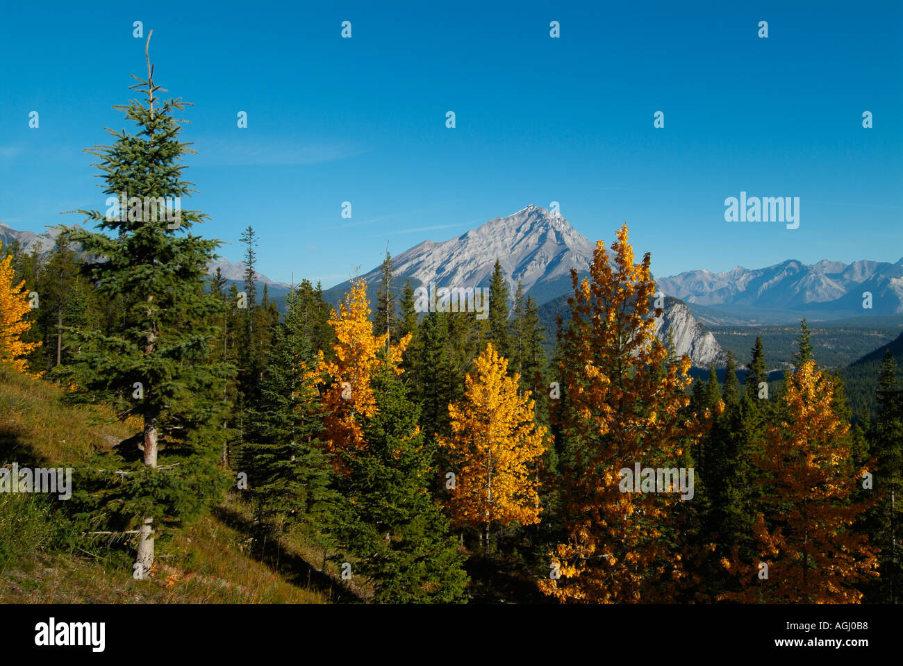 Banff township and Cascade mountain from Sulphur Mountain summit Banff ... Banff township and Cascade mountain from Sulphur Mountain summit Banff ...