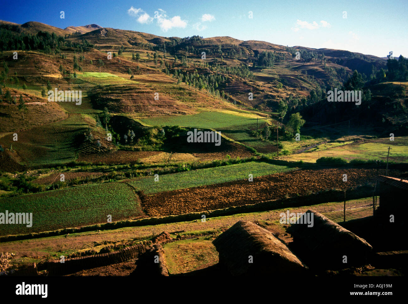 Terraced farmland, peru High Resolution Stock Photography and Images ...