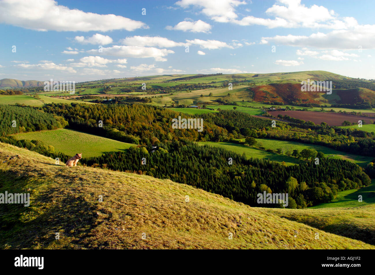 Shropshire Hills and the Long Mynd near Church Stretton taken from ...